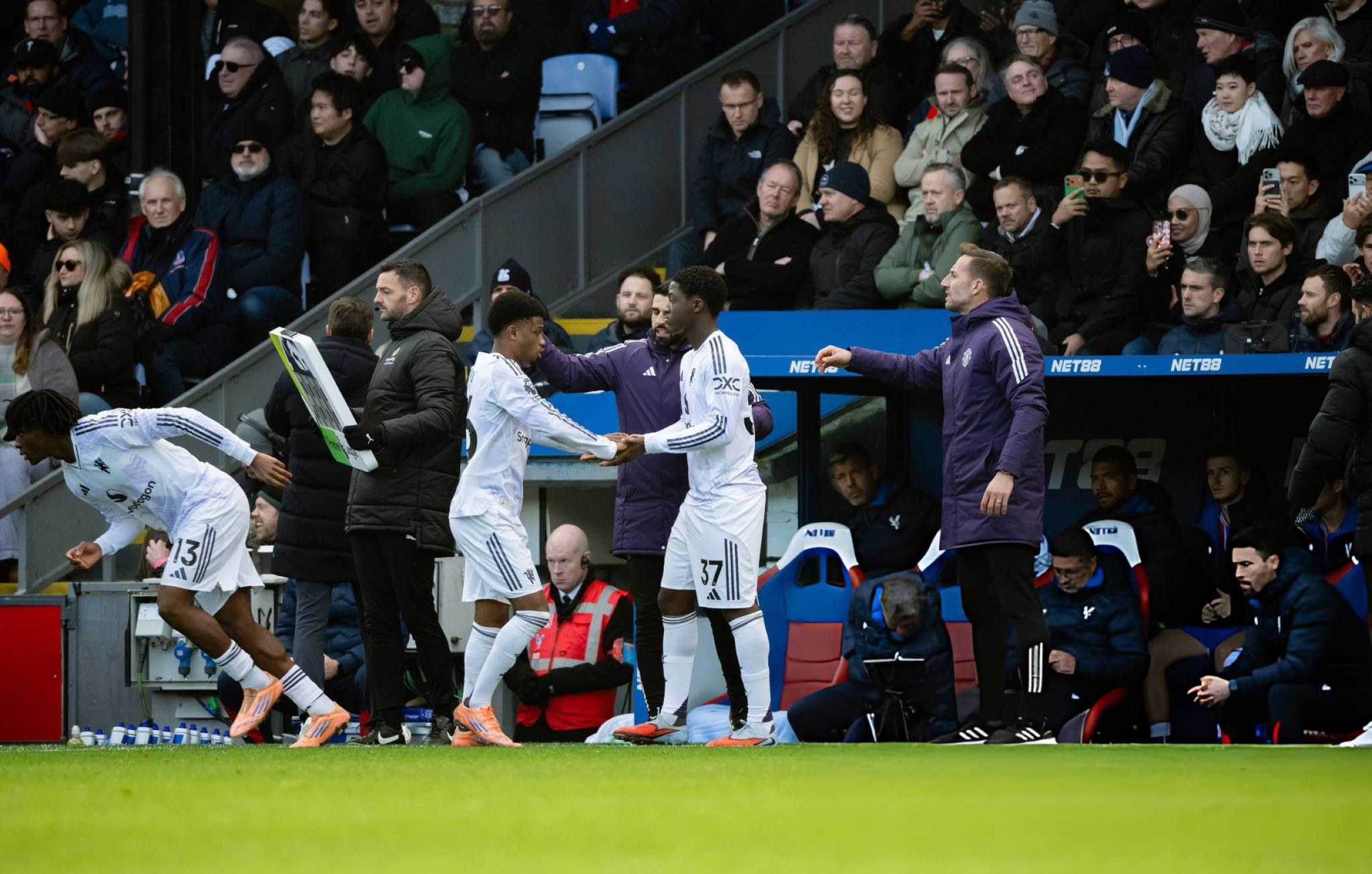 耳舐めasmr 実写